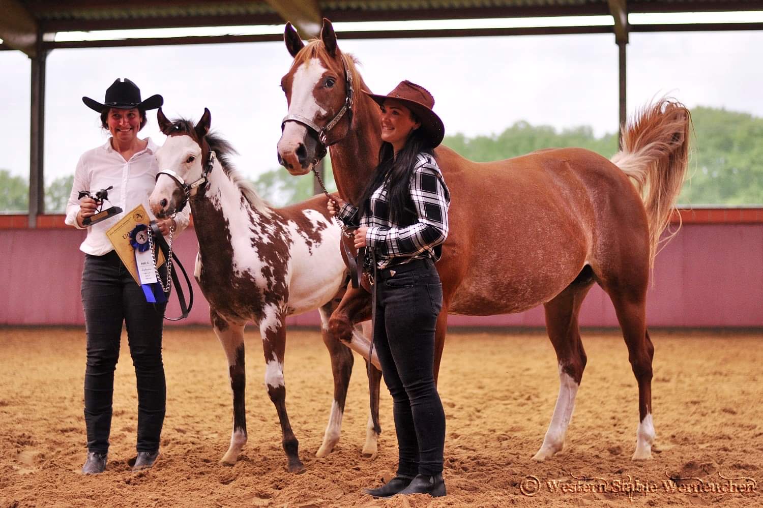 Baltic-Paints - KINGS NORFLEET ANGEL